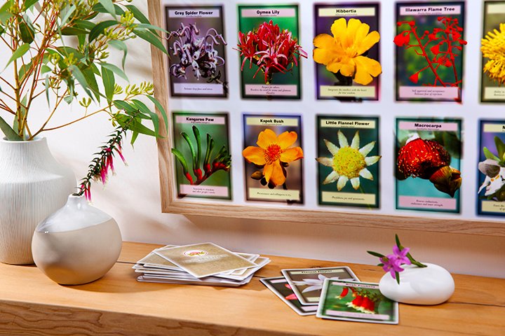 APC001: Flower Insight Cards (Set of 69) - AusAngels - Flower Essences